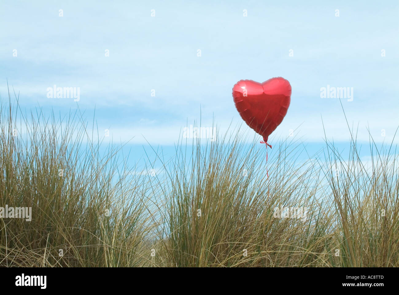heart shape balloon Stock Photo - Alamy