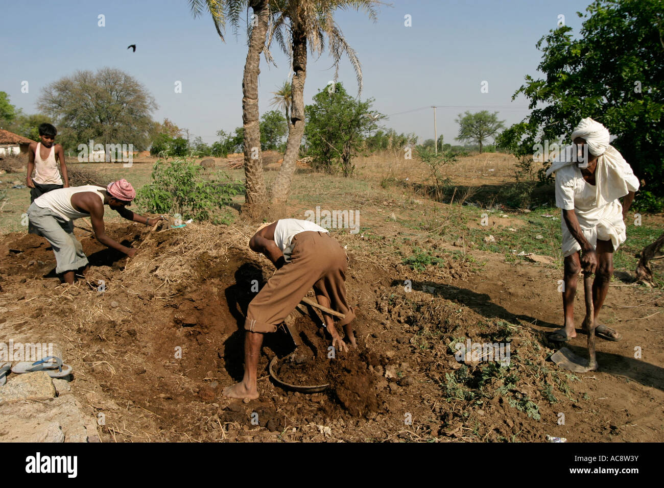 Agriculture Farm Labourers High Resolution Stock Photography and Images ...