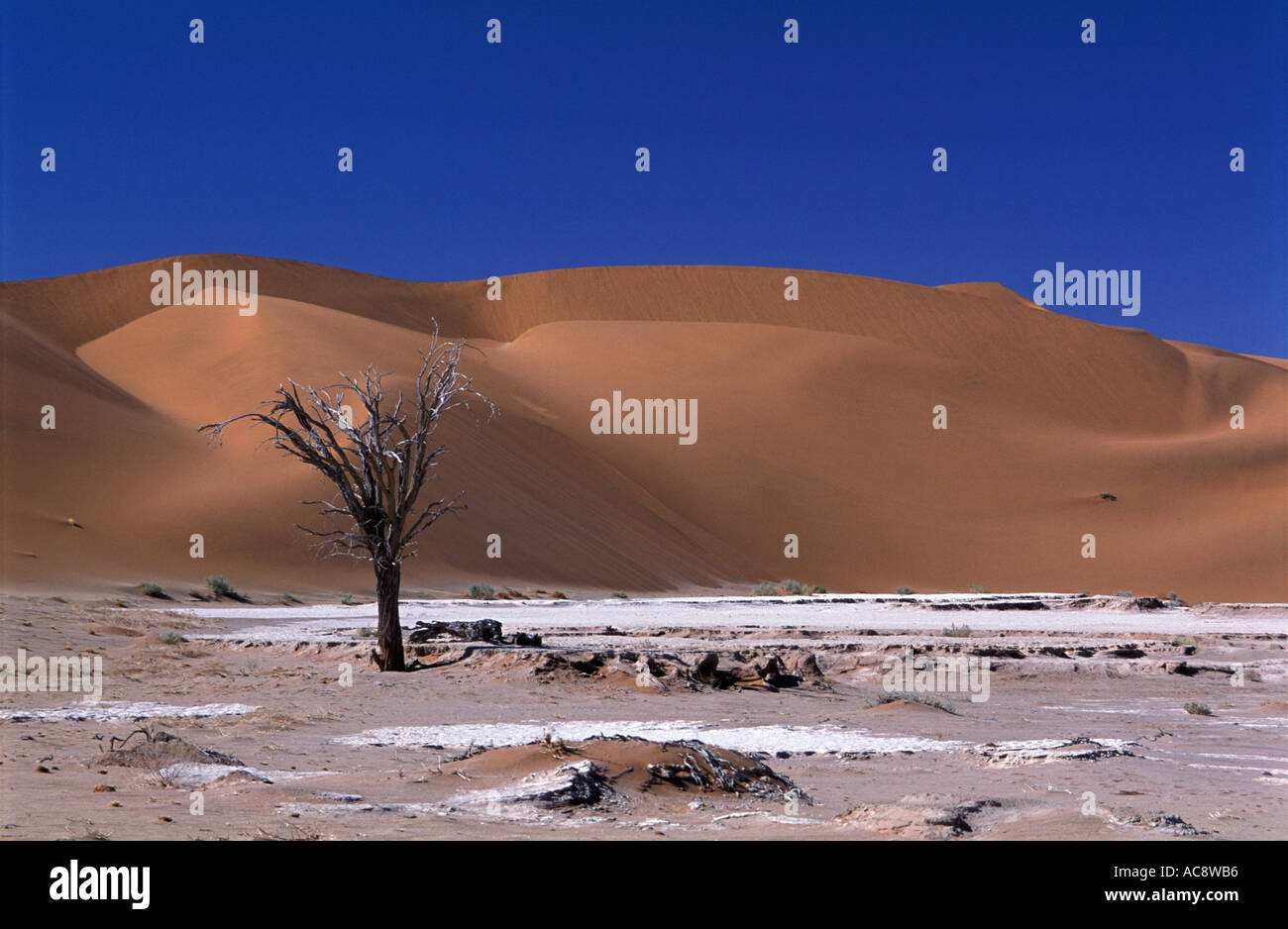 Surreal landscape of the Namib Desert Namibia Stock Photo - Alamy