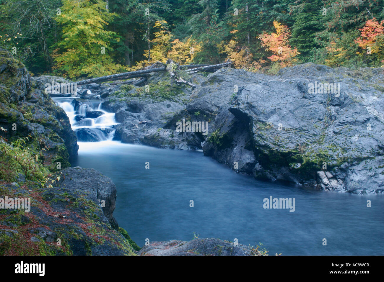 Salmon Cascades along the Sol Duc River in fall Olympic National Park ...