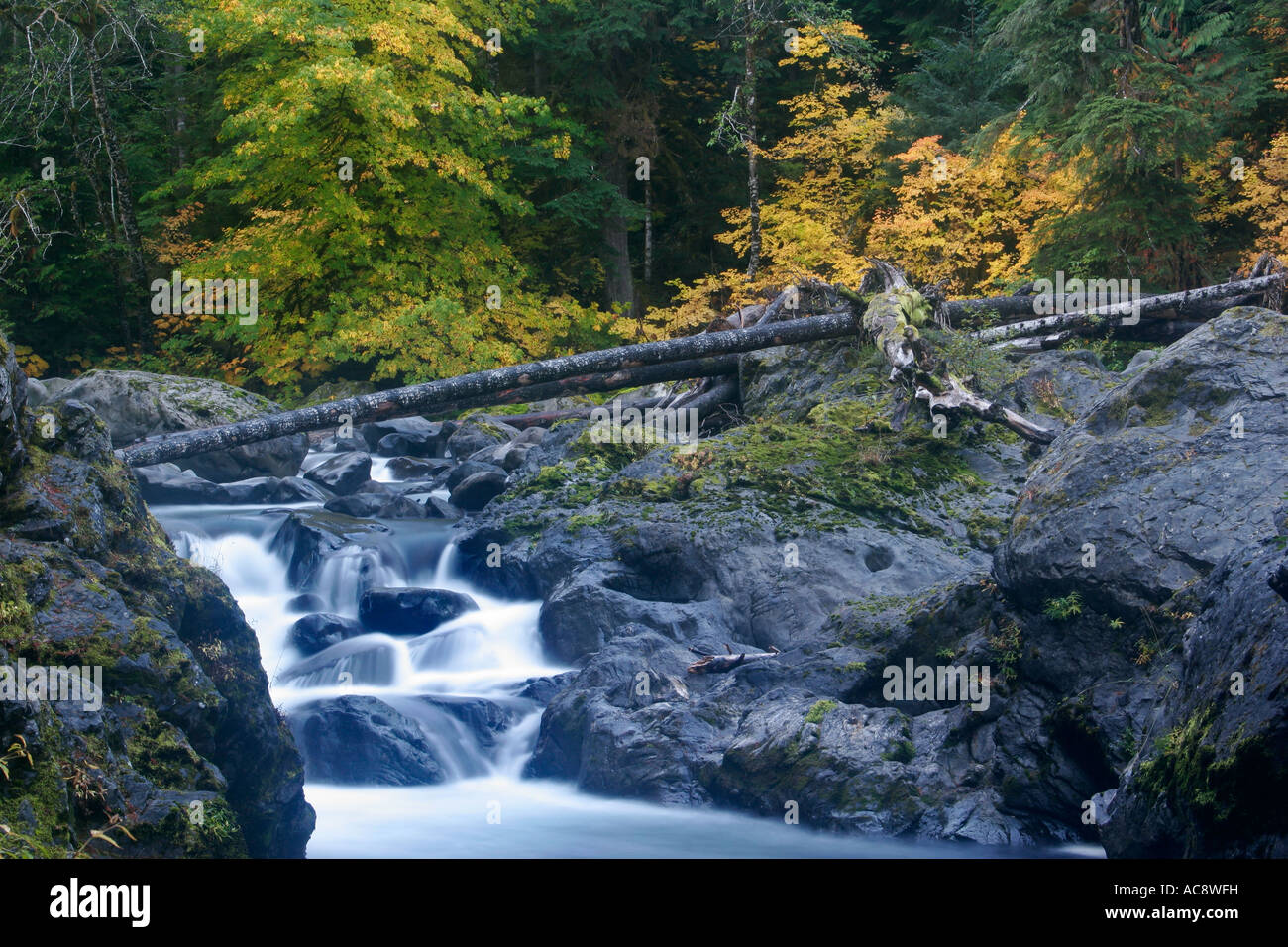 Salmon Cascades along the Sol Duc River in fall Olympic National Park ...