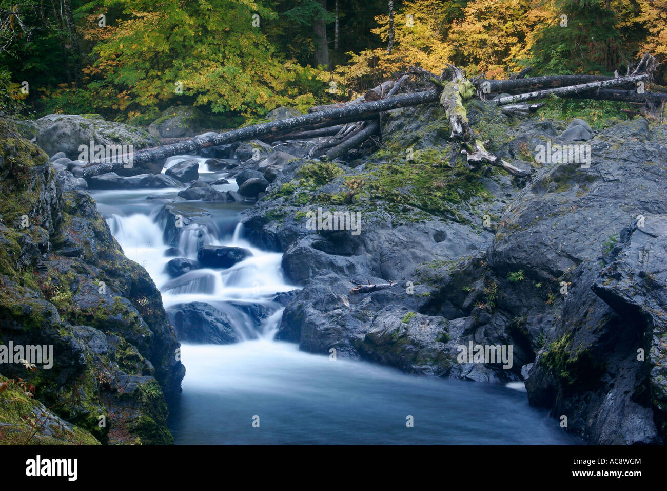 Salmon Cascades along the Sol Duc River Olympic National Park ...