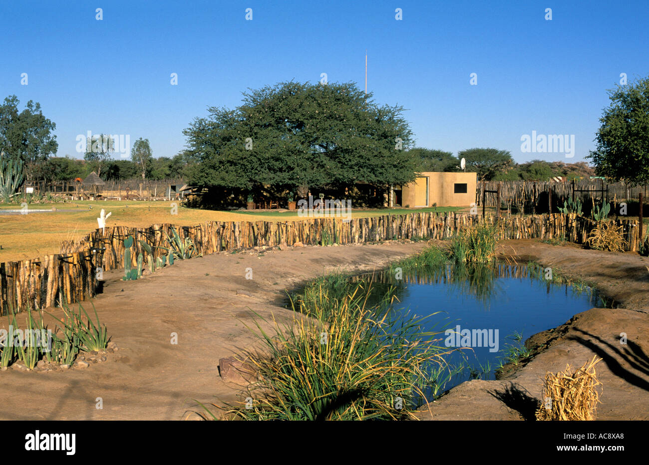 Harnas lion leopard cheetah farm and wildlife foundation Namibia Stock ...