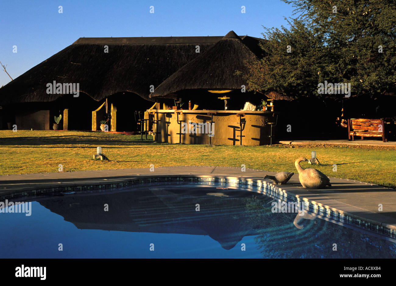 Lion farm hi-res stock photography and images - Alamy