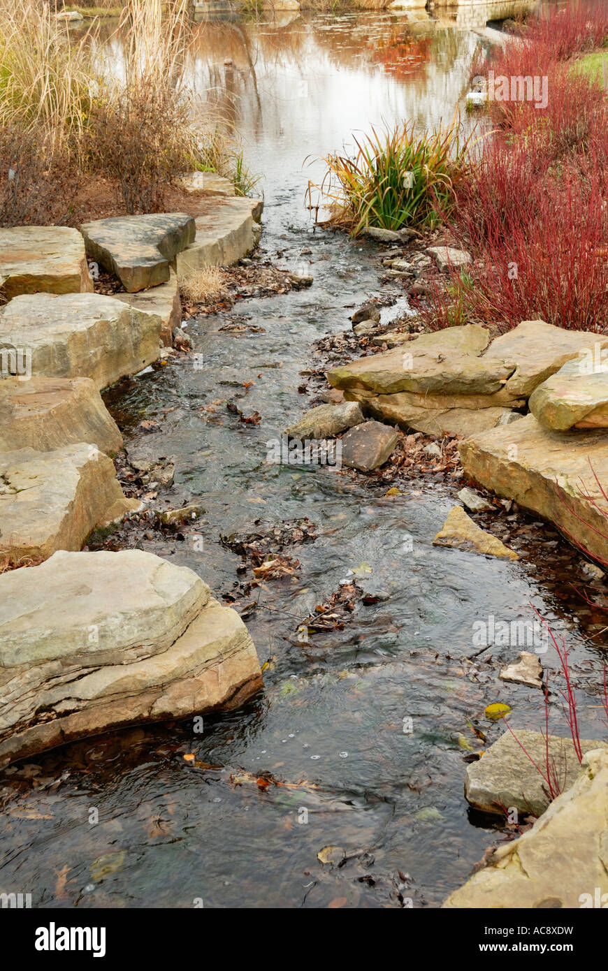 Stream and Pond in Fall Stock Photo - Alamy