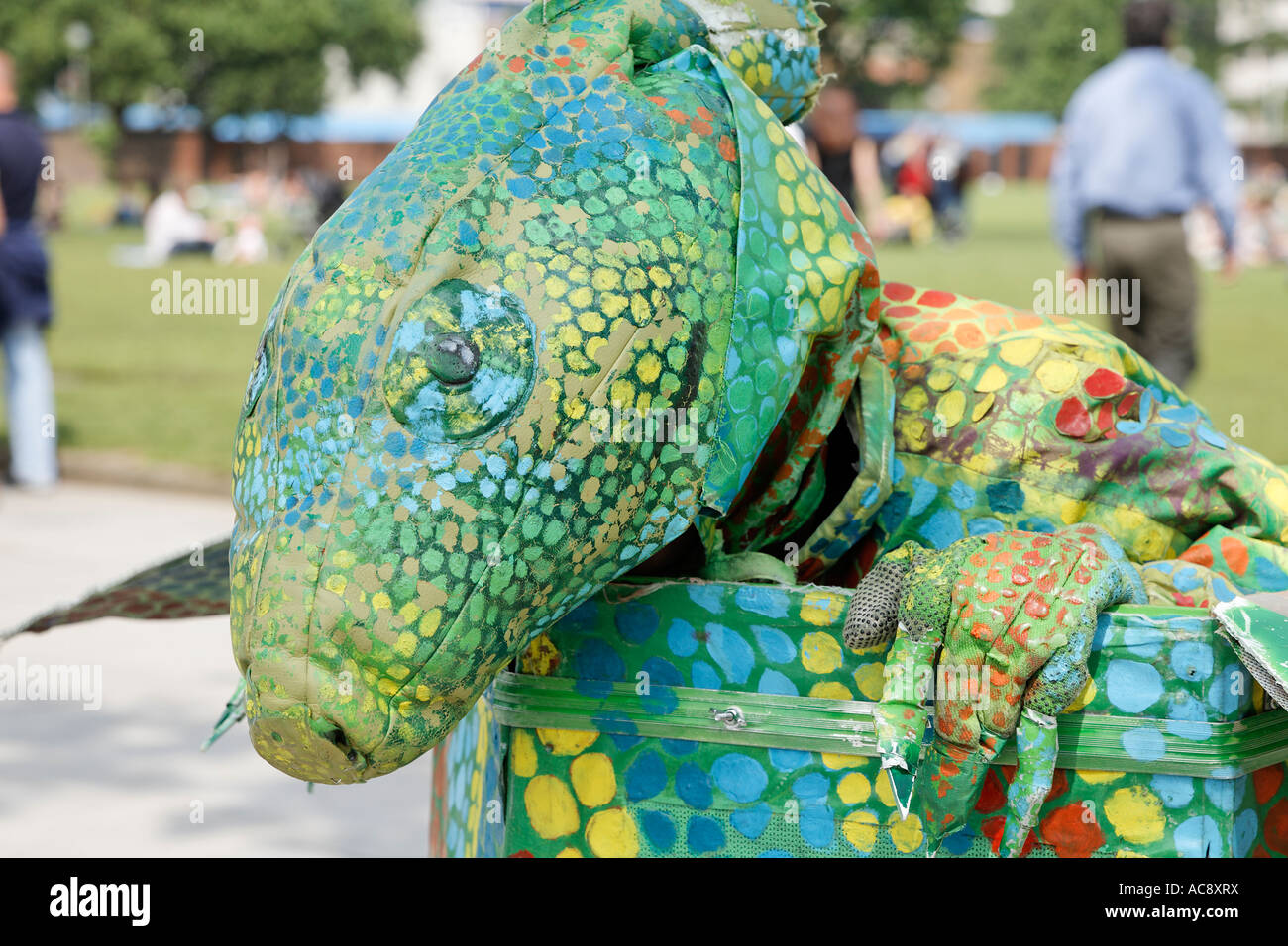 Shy reptile hi-res stock photography and images - Alamy