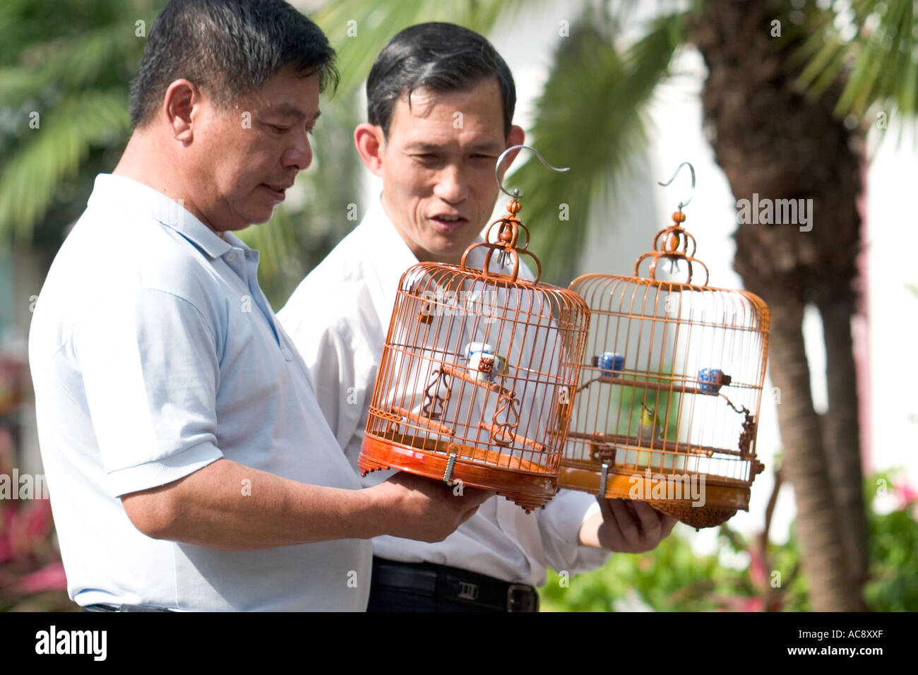 Two chinese men with birds in birdcage leisure recreation singing-birds ...