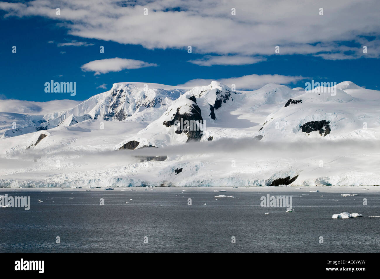 Ice floe floating on water Stock Photo - Alamy