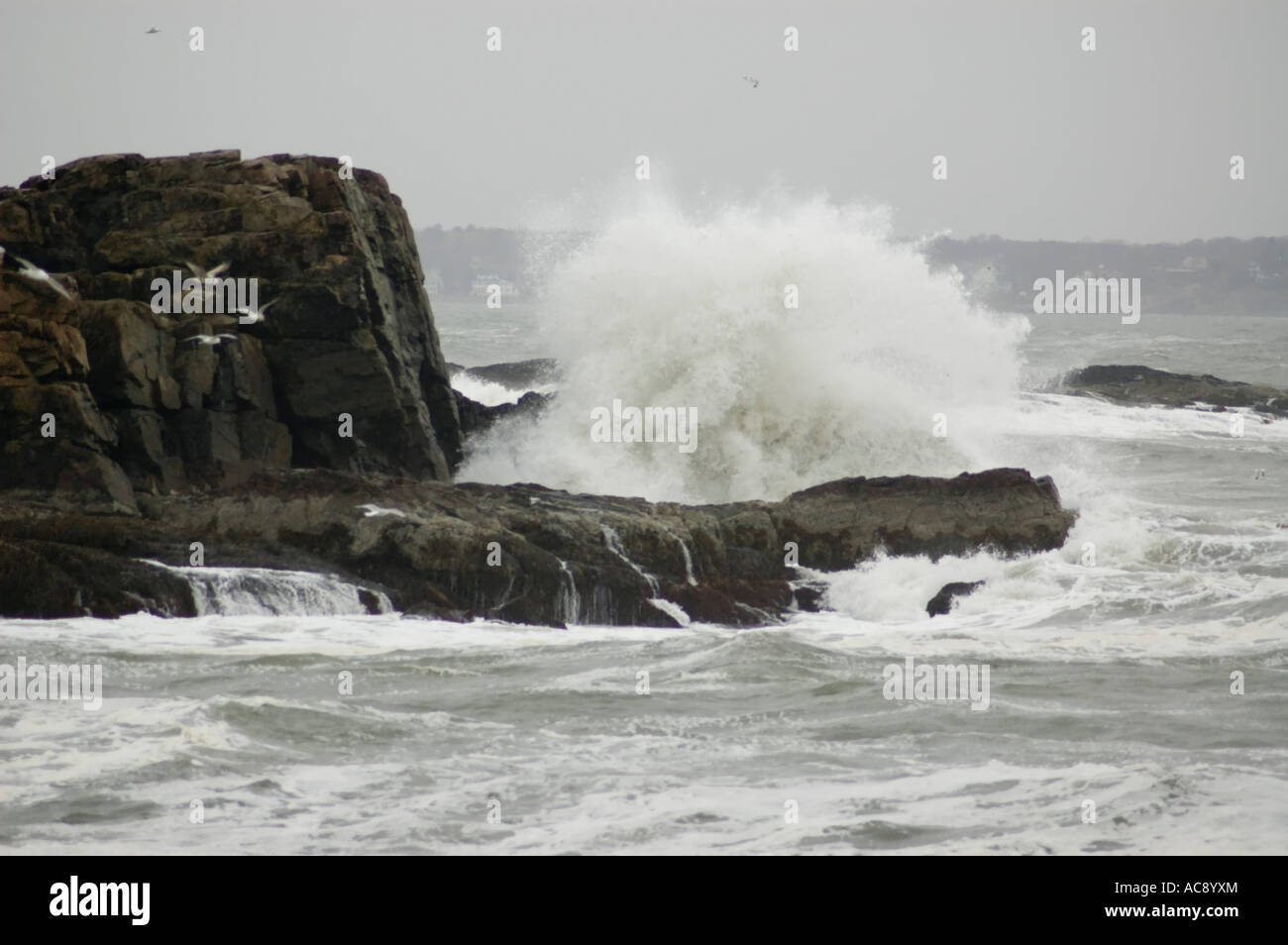 Atlantic coast noreaster hi-res stock photography and images - Alamy