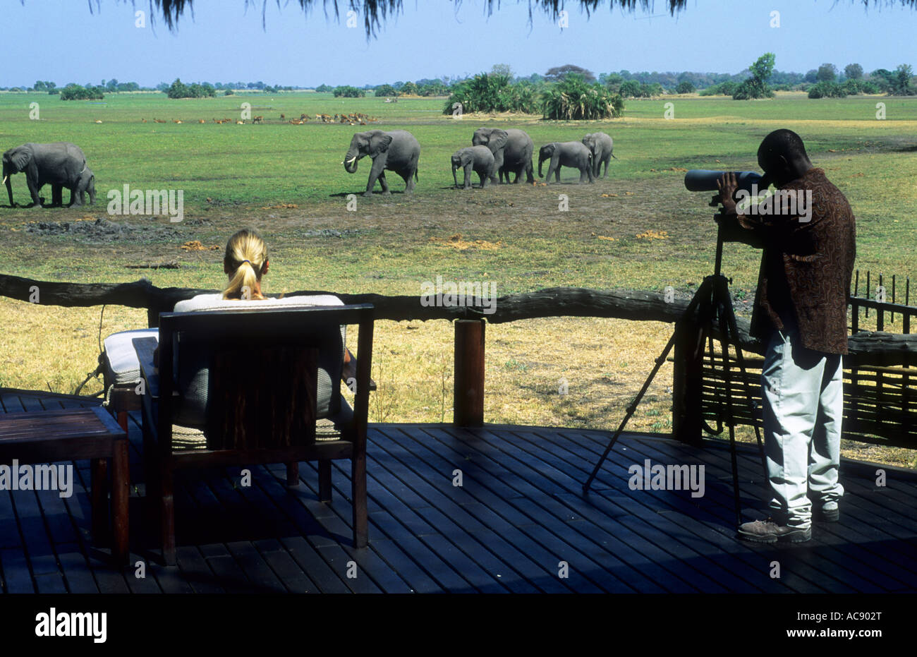 Tourists viewing elephants from viewing deck at Mombo safari lodge ...