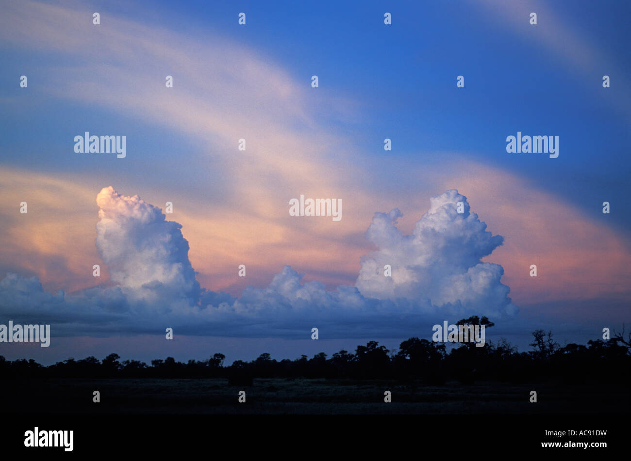 Storm clouds Duma Tau, Linyanti Botswana Stock Photo - Alamy