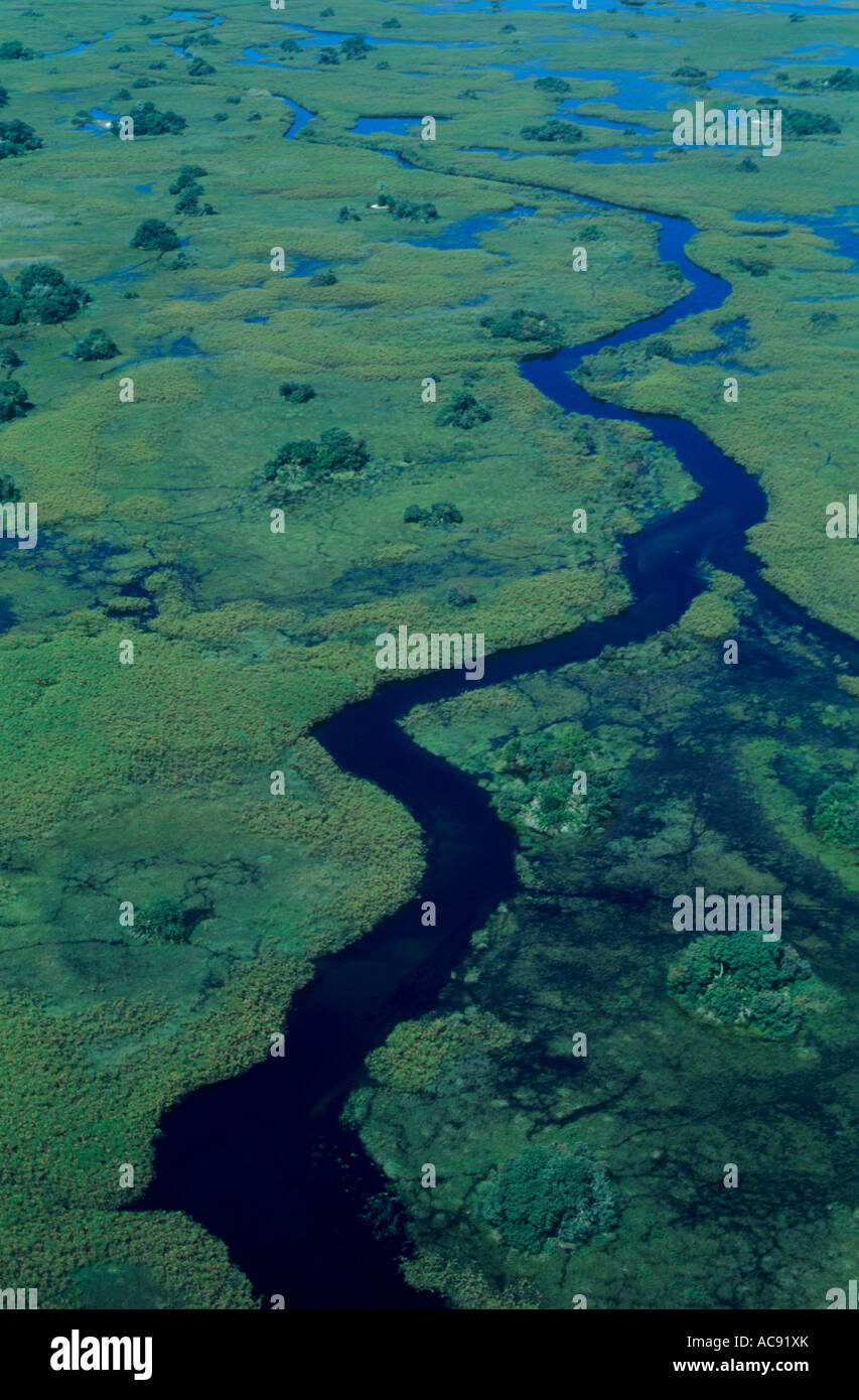 Aerial view of Okavango Delta showing channel Okavango Delta; Botswana ...