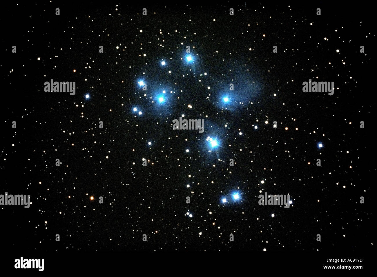 Pleiades Star Cluster Subaru