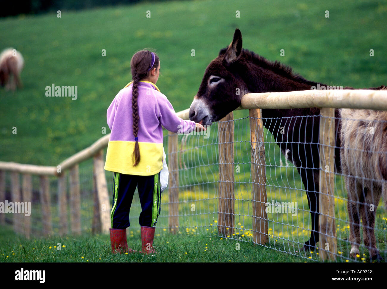 Pendoylan hi-res stock photography and images - Alamy