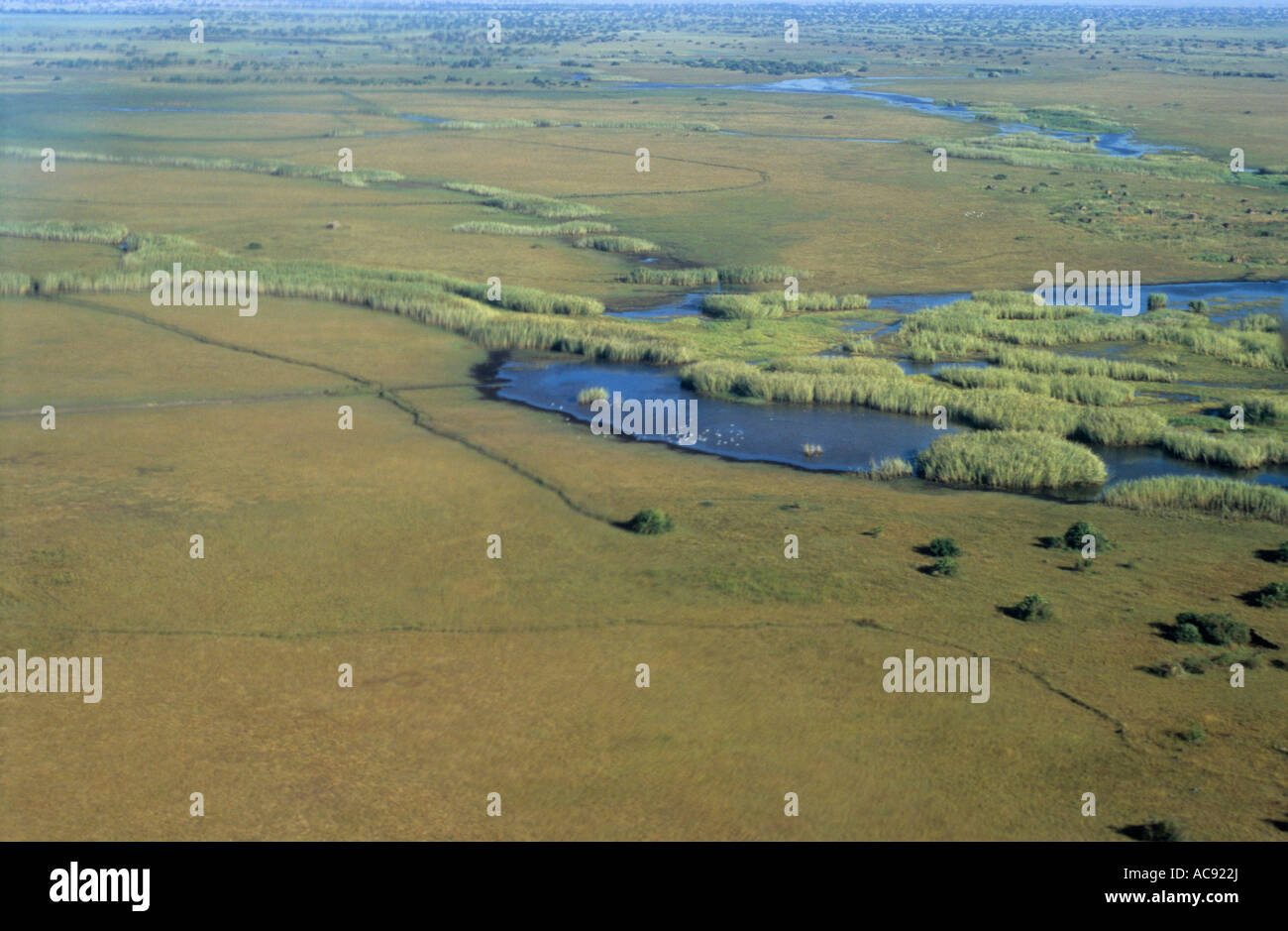 Scenic aerial view of the Bengweulu Swamps Bengweulu Swamps; Zambia ...