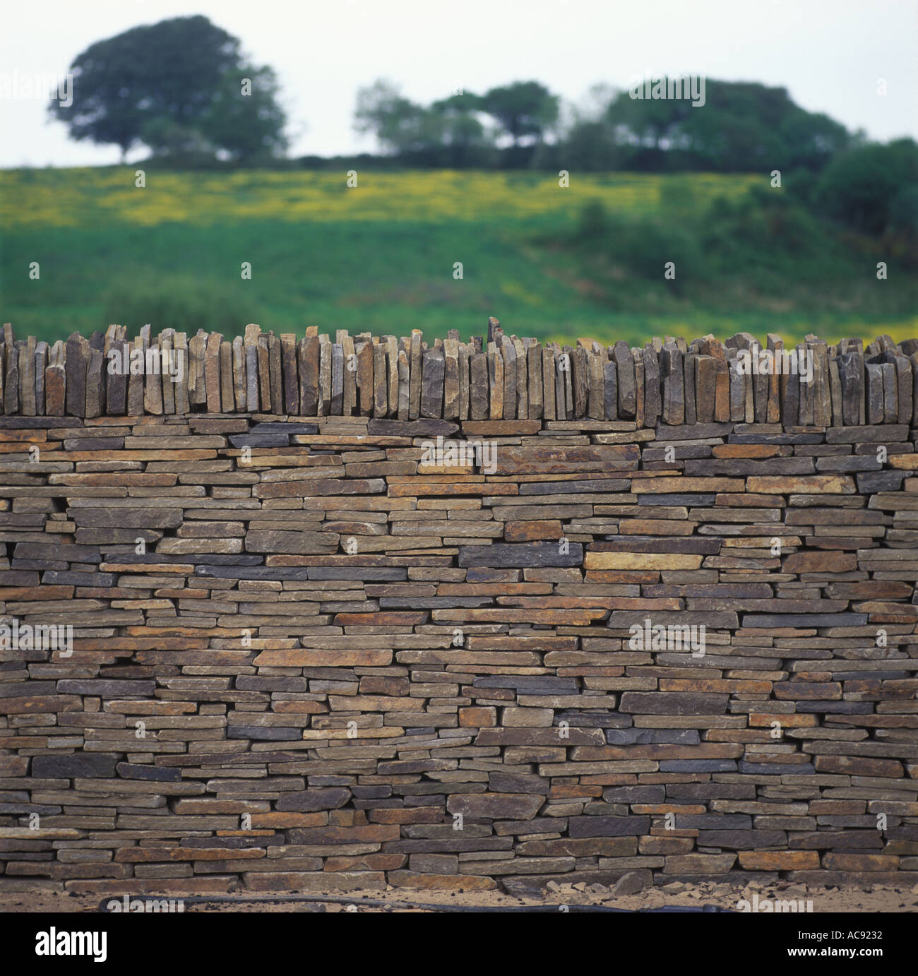 Dry Stone Wall National Botanic Gardens Llanarthne Dyfed Wales UK Stock ...