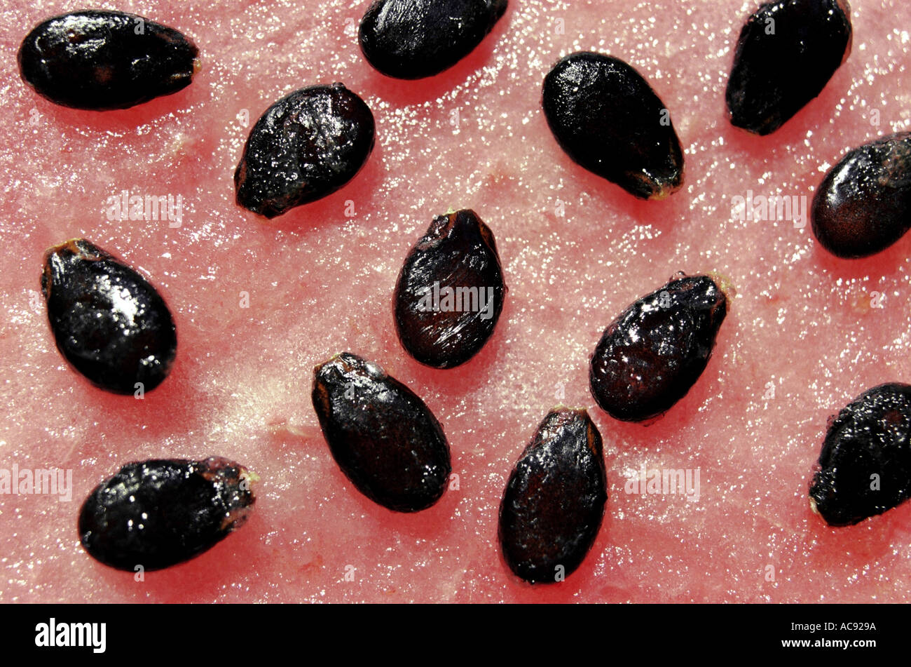 Watermelon with seeds hi-res stock photography and images - Alamy