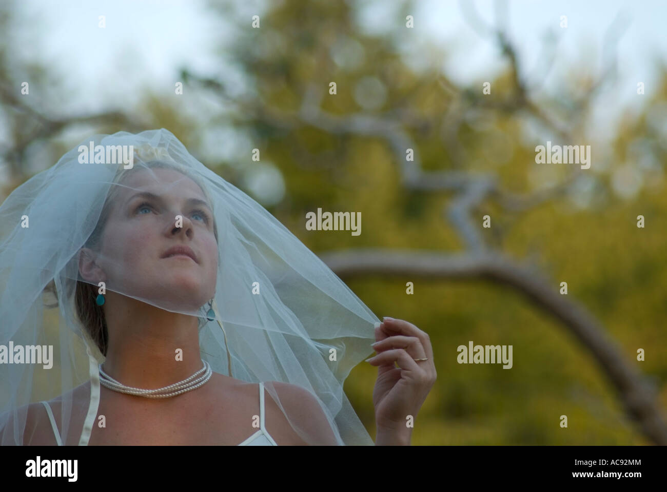 Blonde 33 year old in wedding dress looks at sky Stock Photo - Alamy