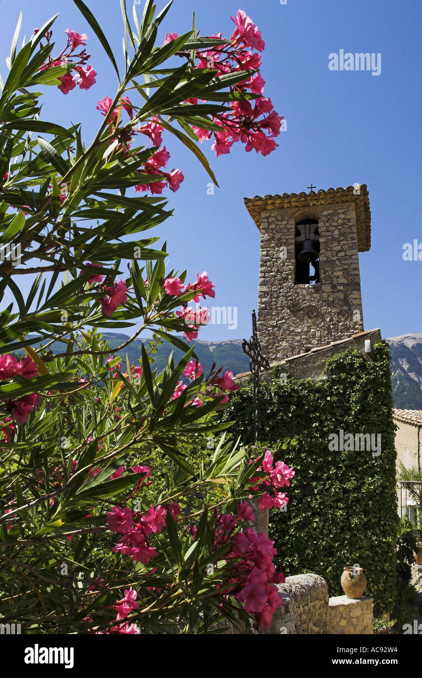 oleander (Nerium oleander), steeple in Brantes with flowering oleander ...