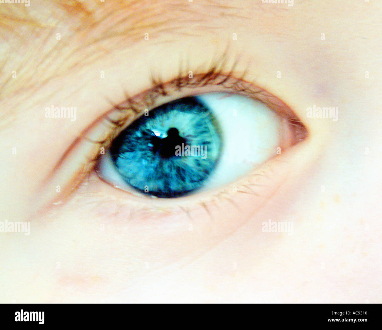 Gaze anatomy hi-res stock photography and images - Alamy