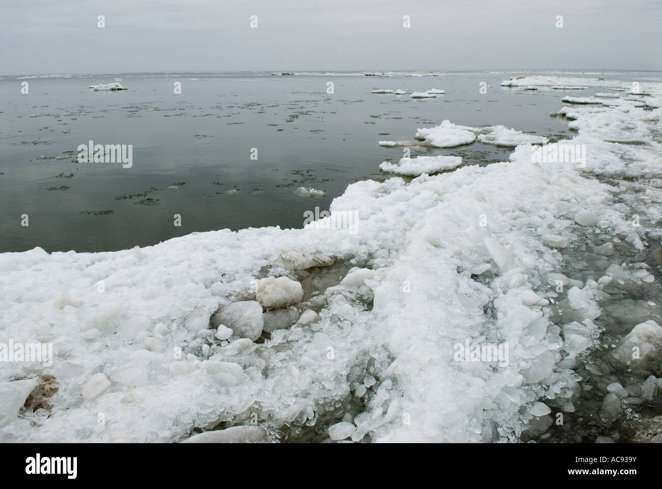 Pt. Pelee National Park, Lake Erie, Ontario, Canada Stock Photo - Alamy