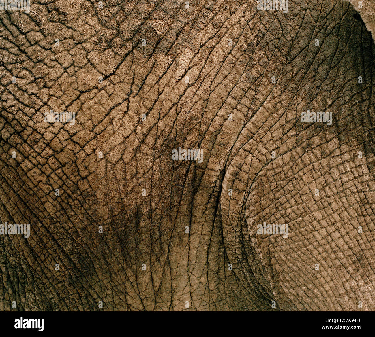 Split fold hi-res stock photography and images - Alamy