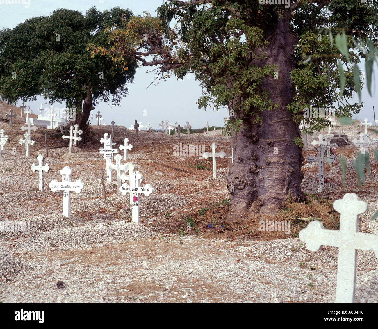 Tree grave senegal hi-res stock photography and images - Alamy