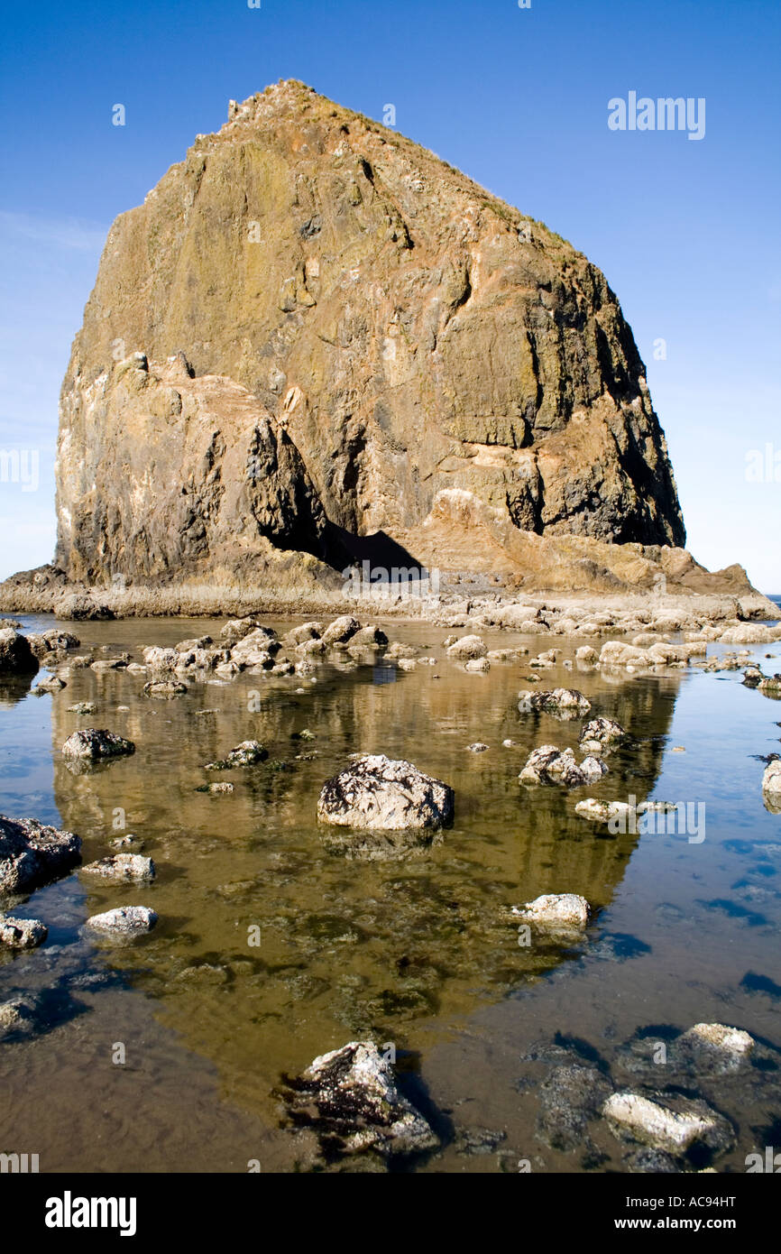 HAYSTACK ROCK, CANNON BEACH OREGON USA Stock Photo - Alamy