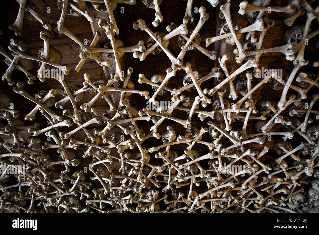 Chapel of skulls poland hi-res stock photography and images - Alamy