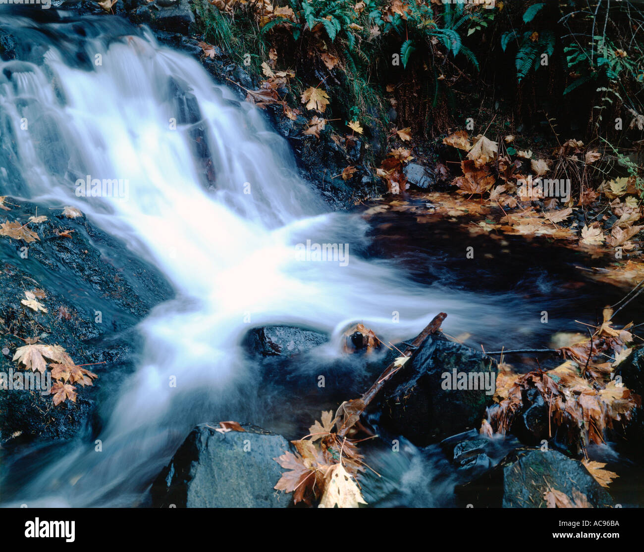 Streambed Boulders High Resolution Stock Photography and Images - Alamy