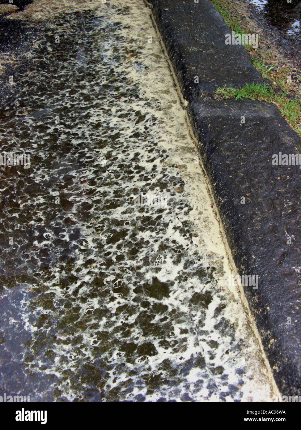 puddle at street margin after rainstorm with masses of pollen Stock ...
