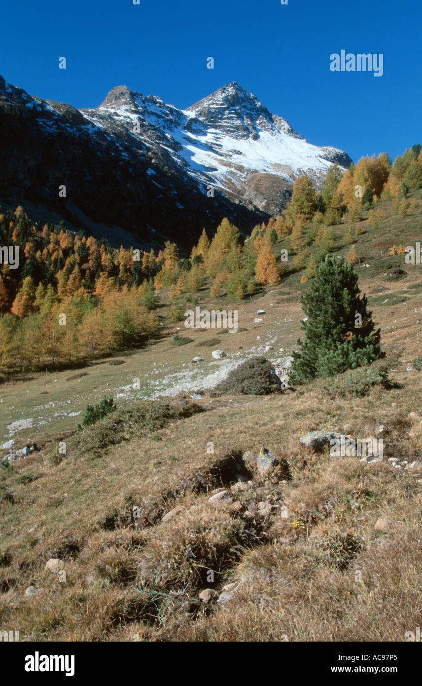 Piz julier hi-res stock photography and images - Alamy