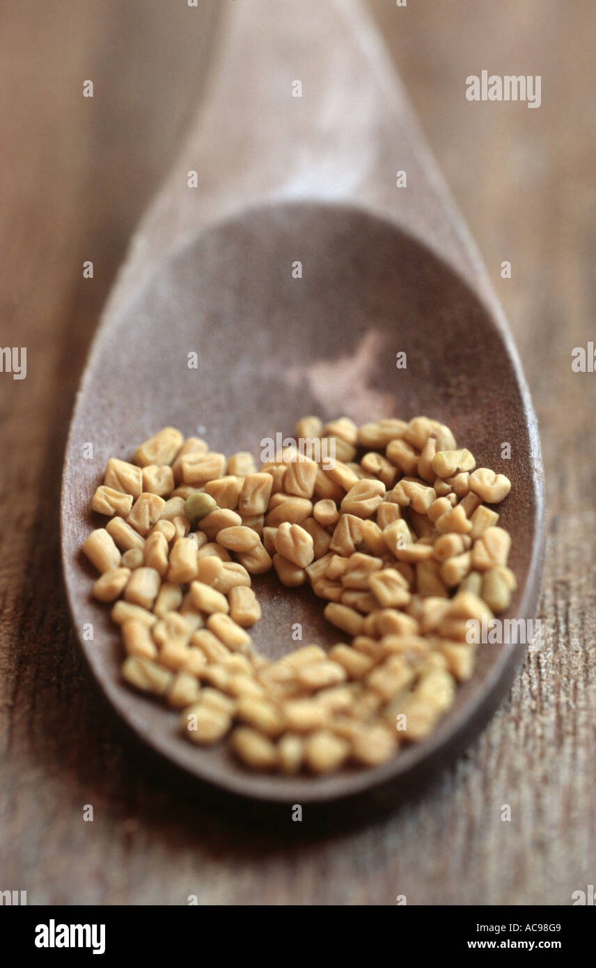 Trigonella foenum graecum flower hi-res stock photography and images ...