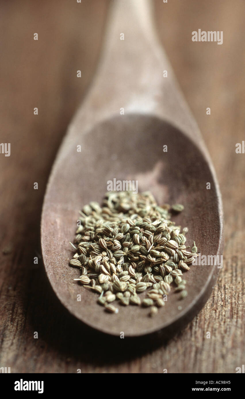 garden lovage, bladder seed (Levisticum officinale), selection on spoon ...