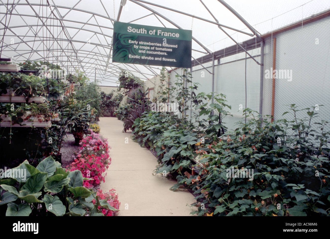 Hydroponics uk hi-res stock photography and images - Alamy
