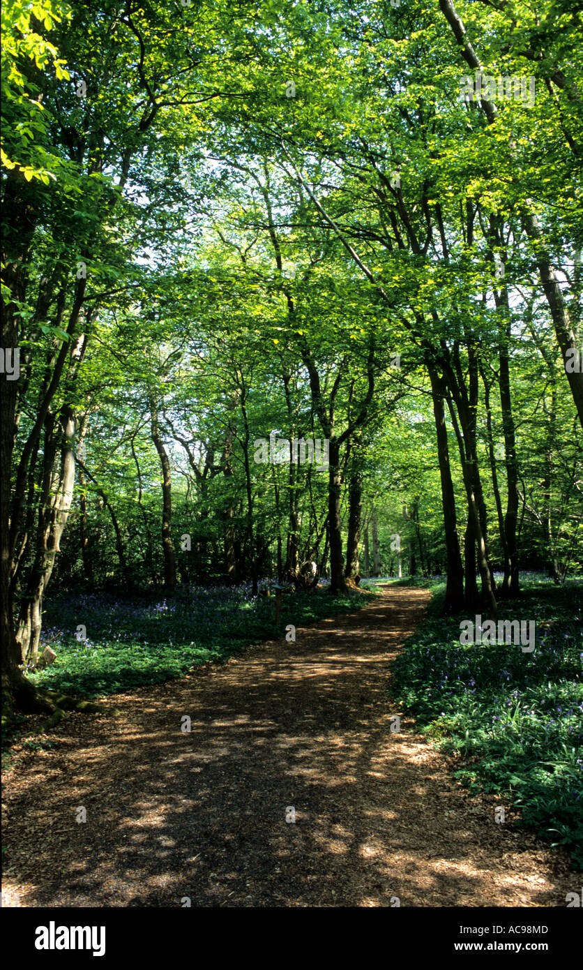 Side view mmc hi-res stock photography and images - Alamy