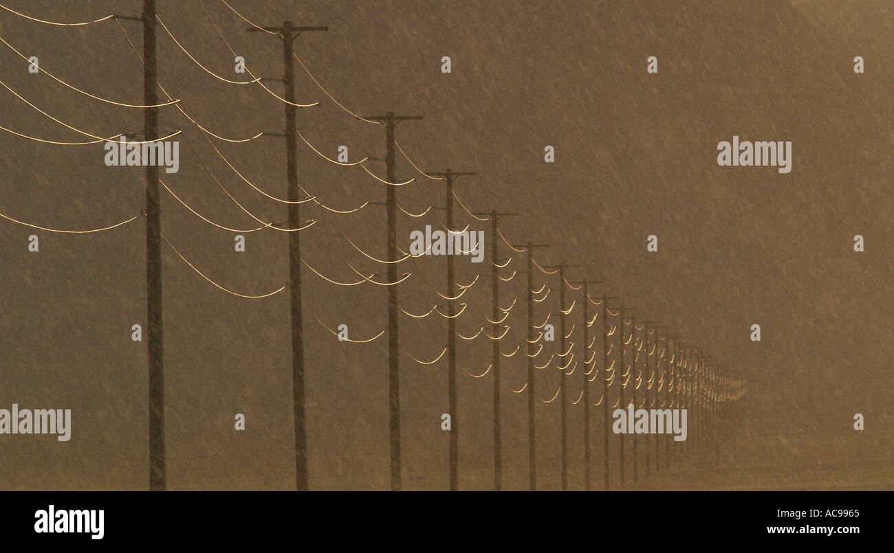 Telephone power lines hi-res stock photography and images - Alamy