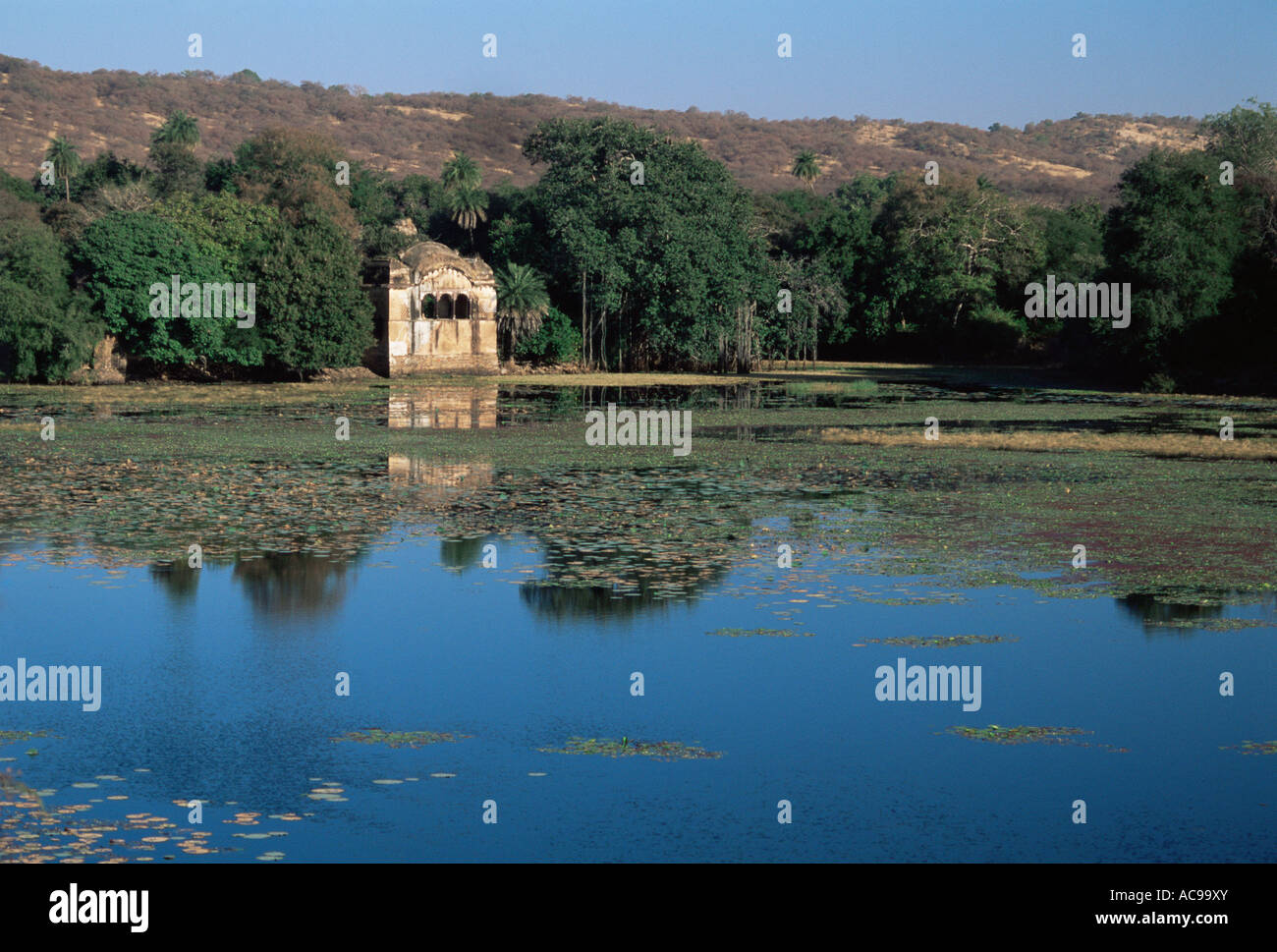 Looking across to ancient temple on edge of Padam Talao First Lake lake ...