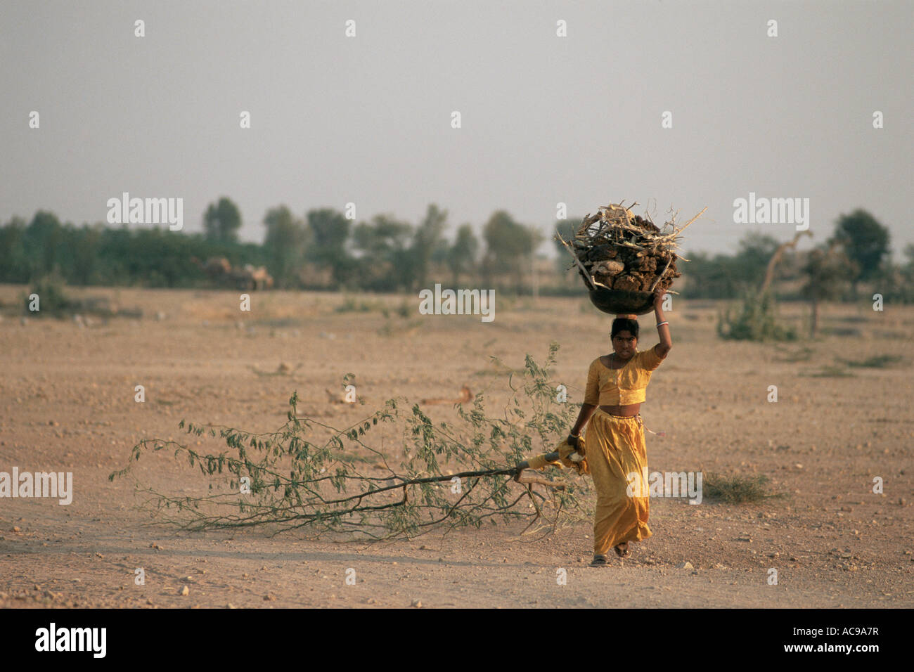 Deforestation local hi-res stock photography and images - Alamy
