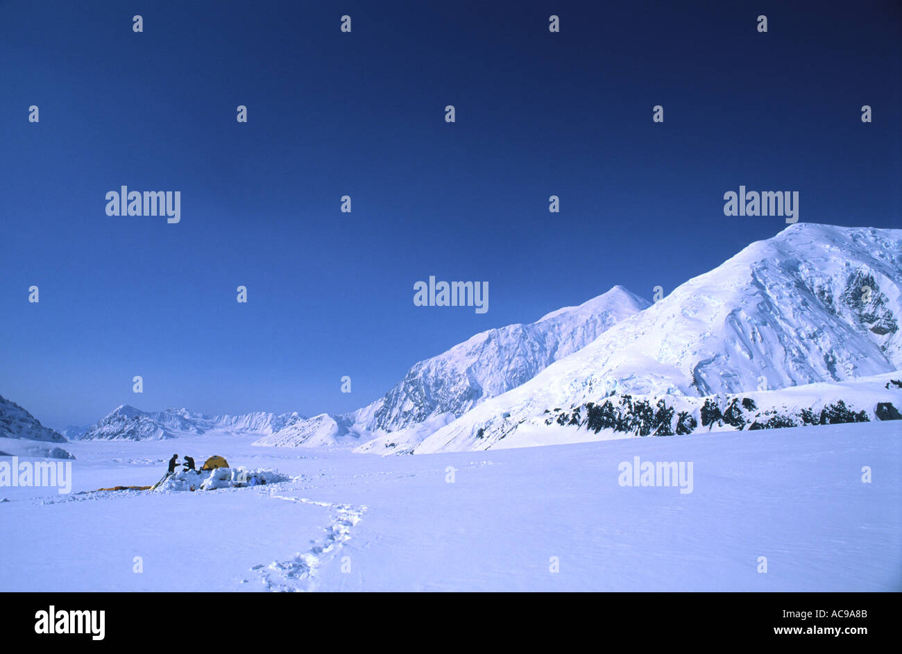 Mountaineering camp on the West Buttress Route, Denali, Alaska, USA ...