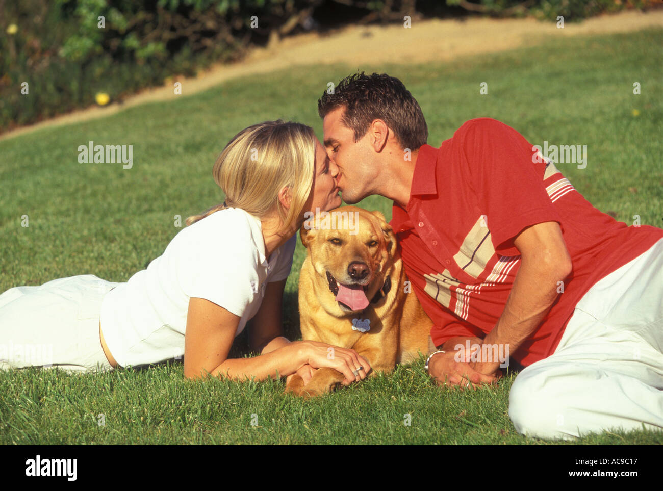A young couple lying down on the grass kissing A golden Labrador ...