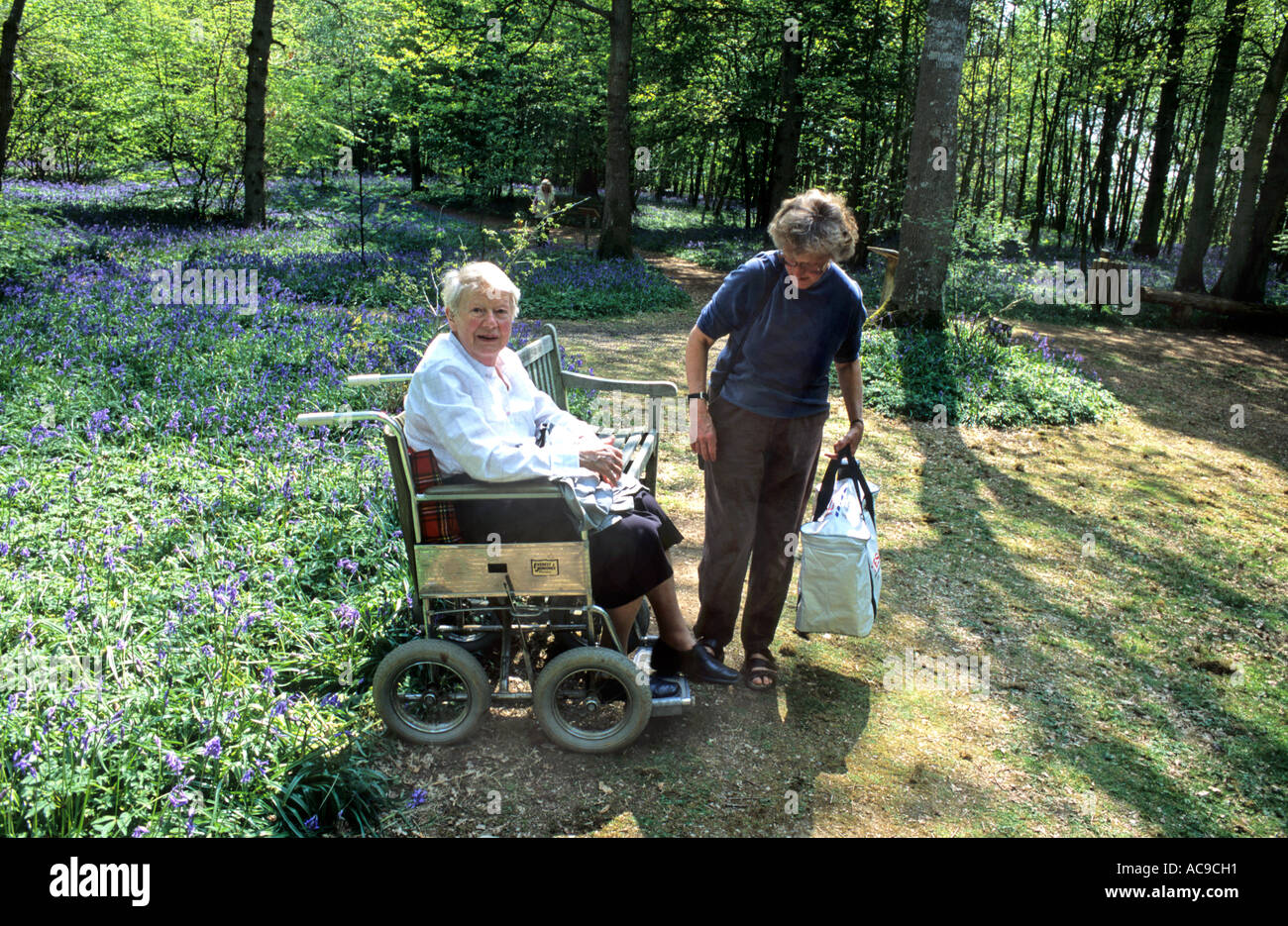 Picnic outing disabled Stock Photo - Alamy