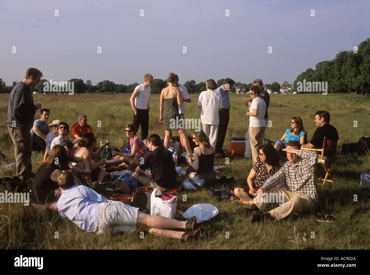 English young middle class adults birthday party al fresco picnic ...