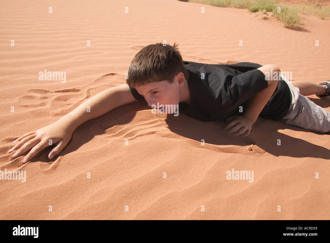 Pre progression hi-res stock photography and images - Alamy