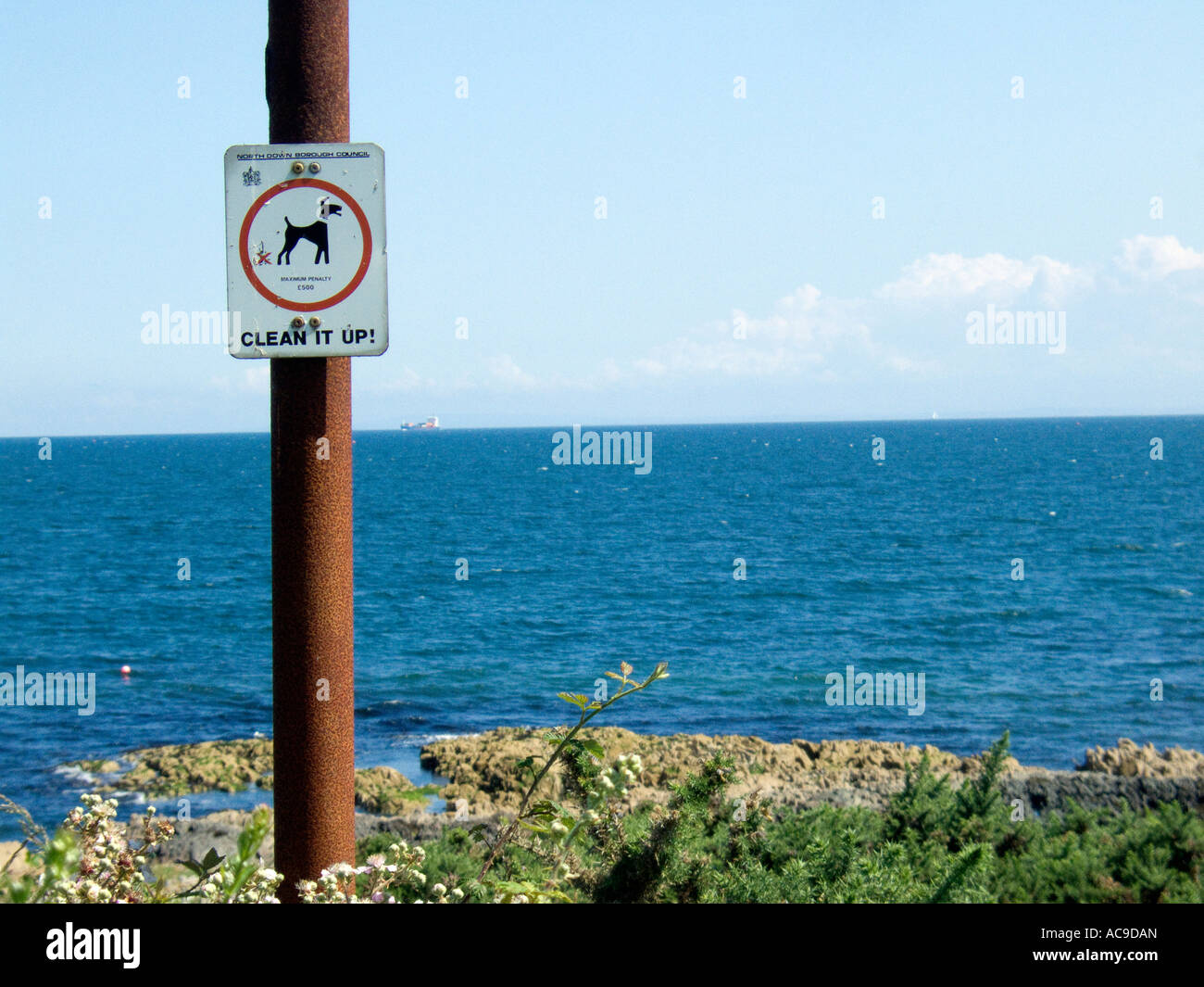 Clean it up sign Stock Photo - Alamy