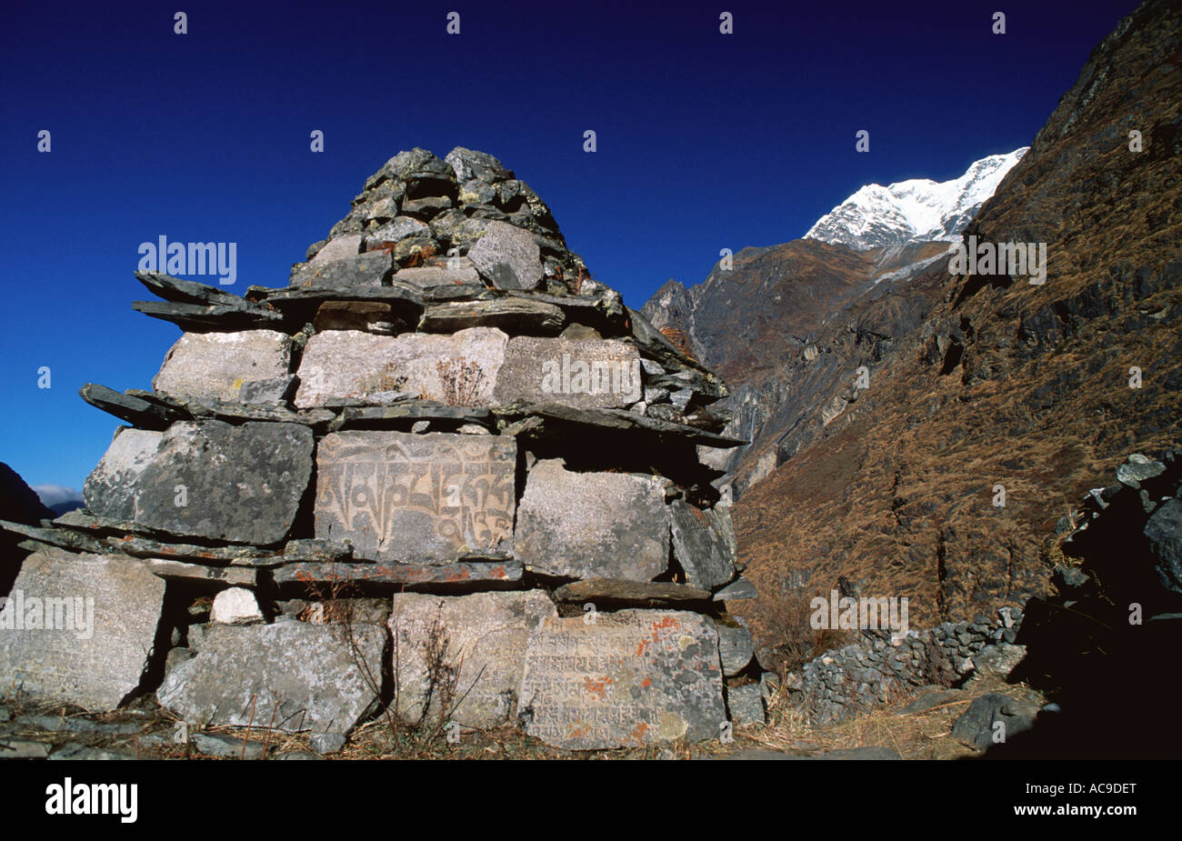 Chorten buddhist shrine Singdum 3400m Langtang NP Himalayas Nepal Stock ...