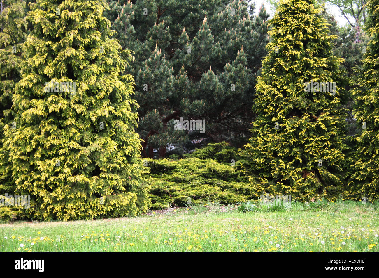 Biophilia canopy hi-res stock photography and images - Alamy