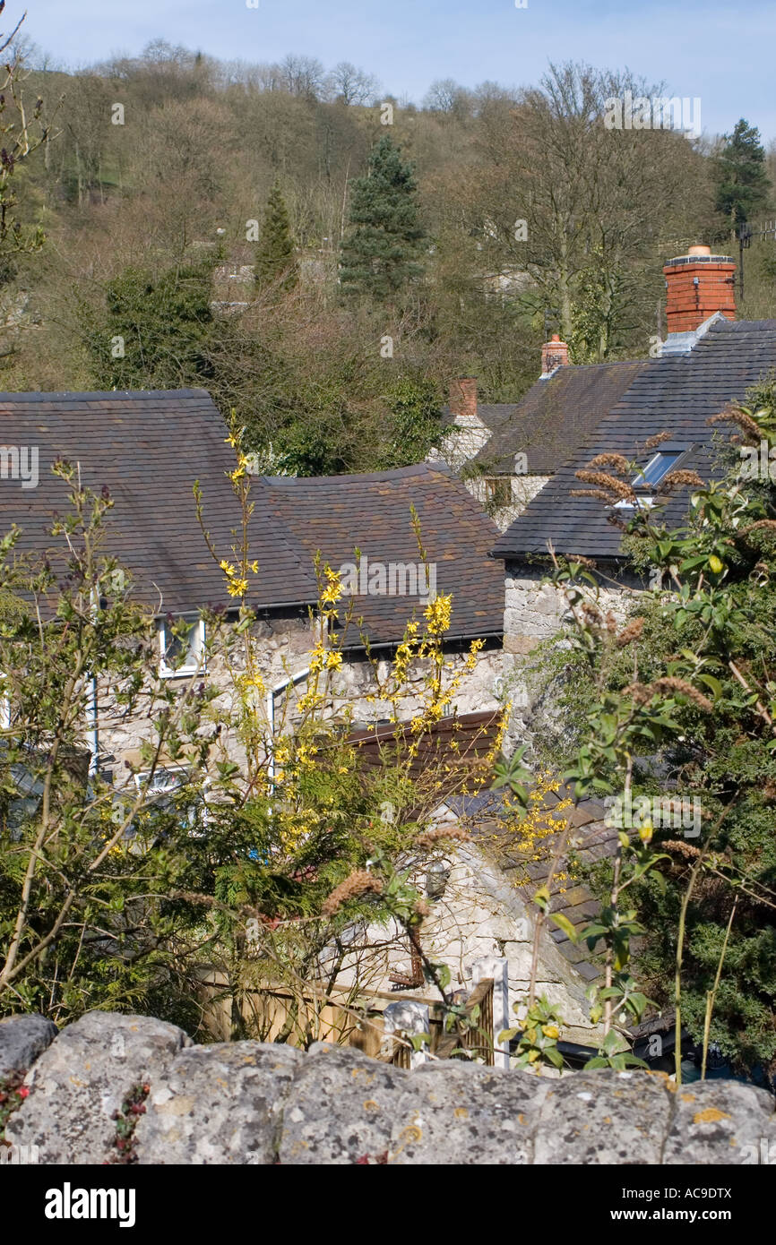 Parwich Stock Photos & Parwich Stock Images - Alamy