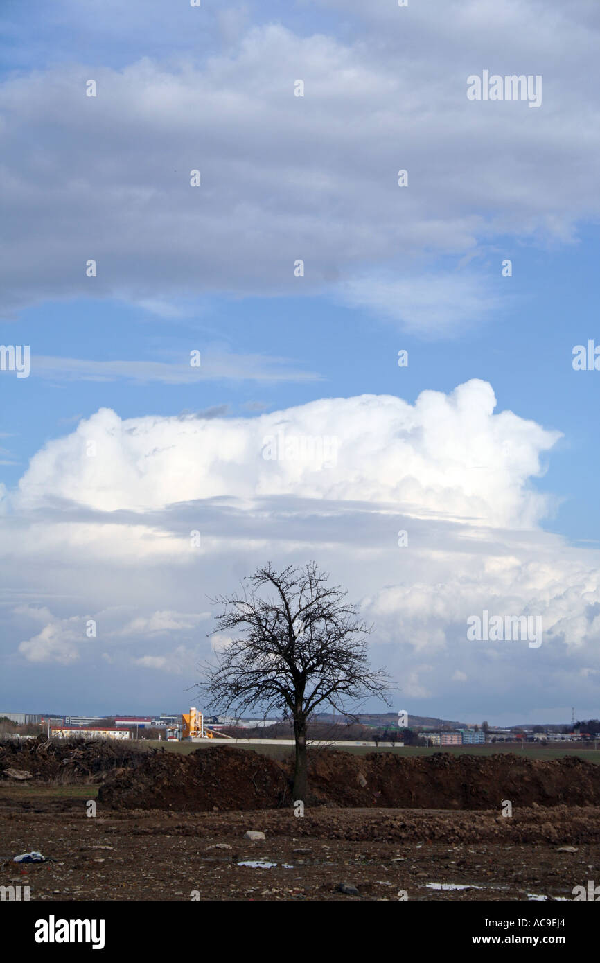Lone tree stands against a dramatic cloudy sky with industrial ...
