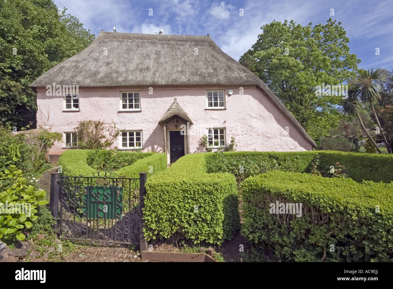 Rose Cottage In Cockington In Devon In England Stock Photo - Alamy